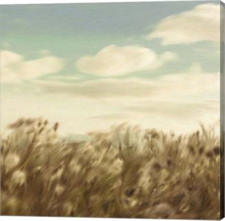 Dandelion Field By Posters International Studio Canvas Art - Macy's