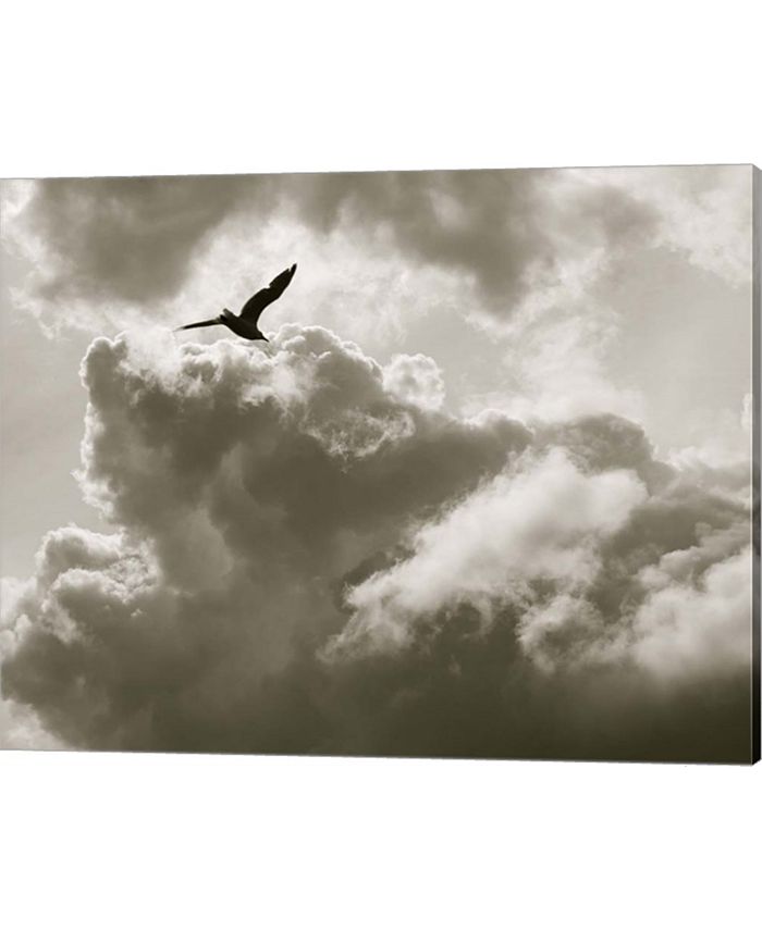 Metaverse Free As A Bird By Toula Mavridou-Messer Canvas Art - Macy's