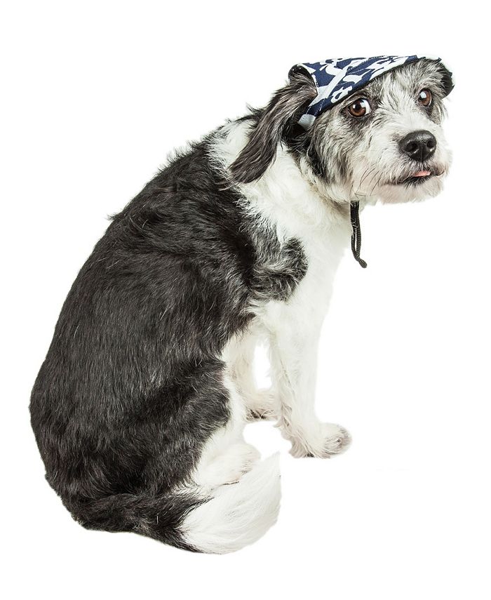 Pet Life 'Bone Cappa' Graffiti Sculptured UV Protectant Adjustable Dog ...