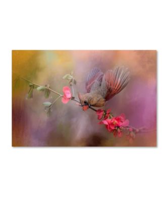 Jai Johnson 'Spring Cardinal 2' Canvas Art - 47" x 30" x 2" - Macy's