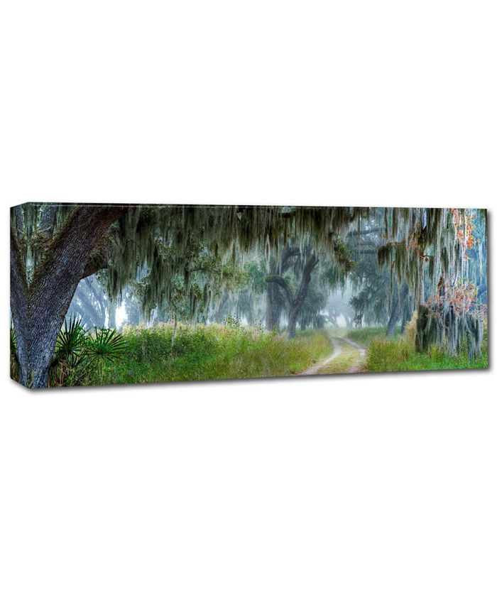 Trademark Global Doug Cavanah 'Memory Lane' Canvas Art - 19" x 6" x 2 ...