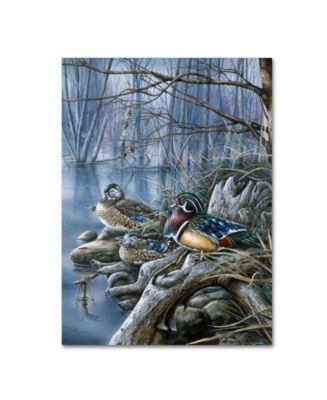 Wanda Mumm 'Spring Woodies' Canvas Art - 47" x 35" x 2" - Macy's