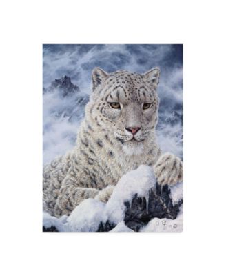 Jeff Tift 'Cat' Canvas Art - 24" x 18" x 2" - Macy's