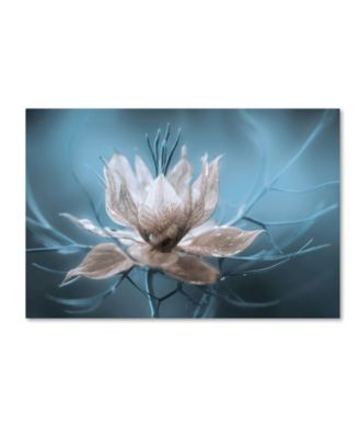 Mandy Disher 'Nigella' Canvas Art - 32" x 22" x 2" - Macy's