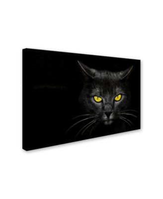 Trademark Global Davorin Baloh 'Monster Kill' Canvas Art - 47" x 30" x ...