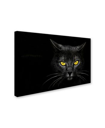 Trademark Global Davorin Baloh 'Monster Kill' Canvas Art - 47" x 30" x ...