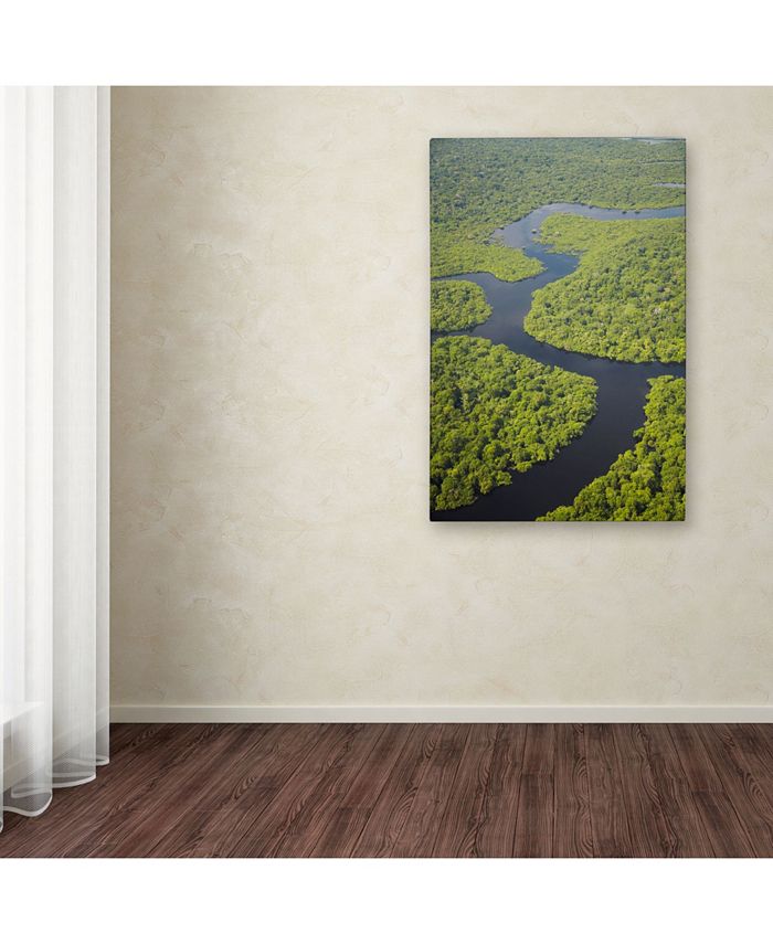 Trademark Global Robert Harding Picture Library 'Forest Scene 5' Canvas ...