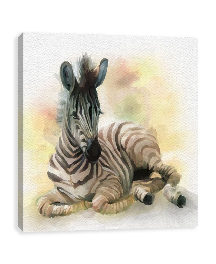 Artissimo Designs Baby Zebra - Macy's