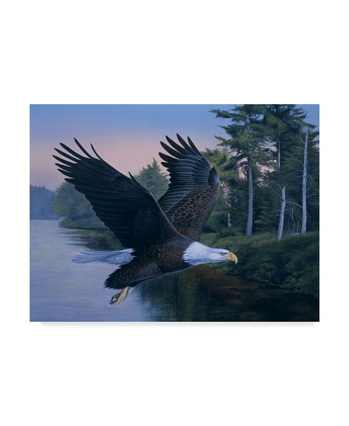 Trademark Global Rusty Frentner 'Eagle Soaring' Canvas Art - 18" x 24 ...
