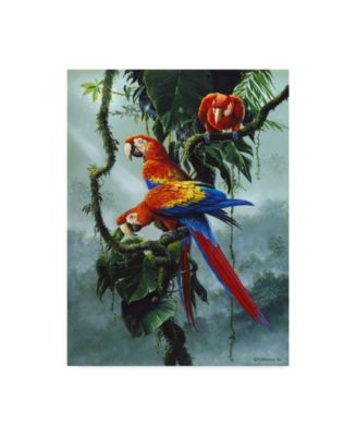 Trademark Global Harro Maass 'Red And Yellow Macaws' Canvas Art - 14" x ...
