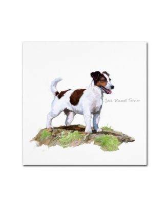 The Macneil Studio 'Jack Russel' Canvas Art - 24" x 24" - Macy's