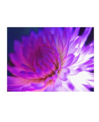 Kathy Yates 'Mod Dahlia' Canvas Art - 47" x 30" - Macy's