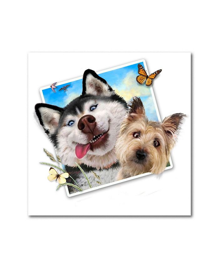 Trademark Global Howard Robinson 'Puppy Photograph' Metal Art - 16" x ...