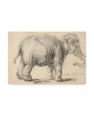 Rembrandt 'An Elephant, 1637' Canvas Art - 12" x 19" - Macy's