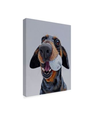 Trademark Global James Ruby 'Titleist 1' Canvas Art - 18" x 24" - Macy's