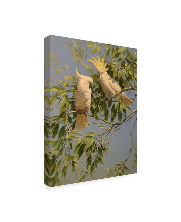 Trademark Global Michael Jackson 'Curious Macaws' Canvas Art - 35" x 47 ...