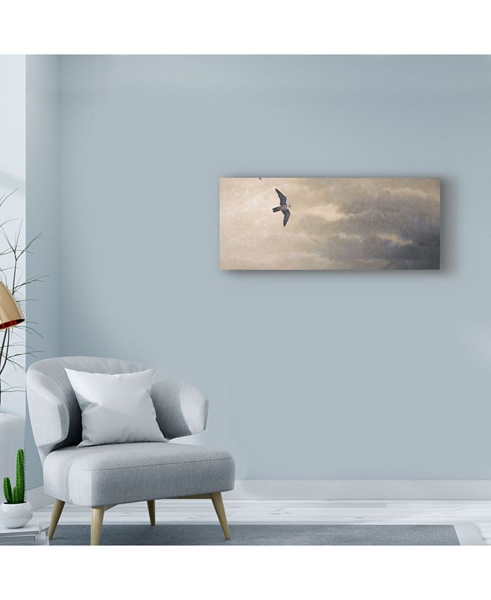 Trademark Global Michael Jackson 'Overcast Seagull' Canvas Art - 32" x ...