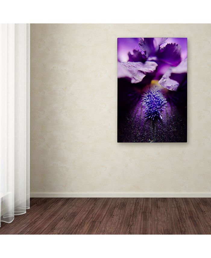Trademark Global PIPA Fine Art 'Stigma of Iris' Canvas Art - 16" x 24 ...