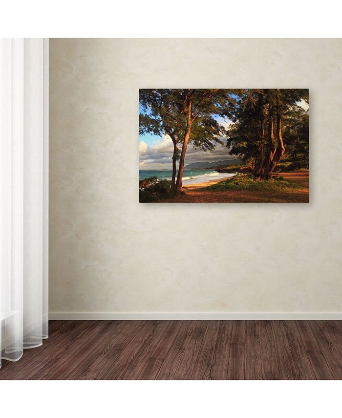 Trademark Global Jason Shaffer 'Hawaii 5' Canvas Art - 32" x 22" - Macy's