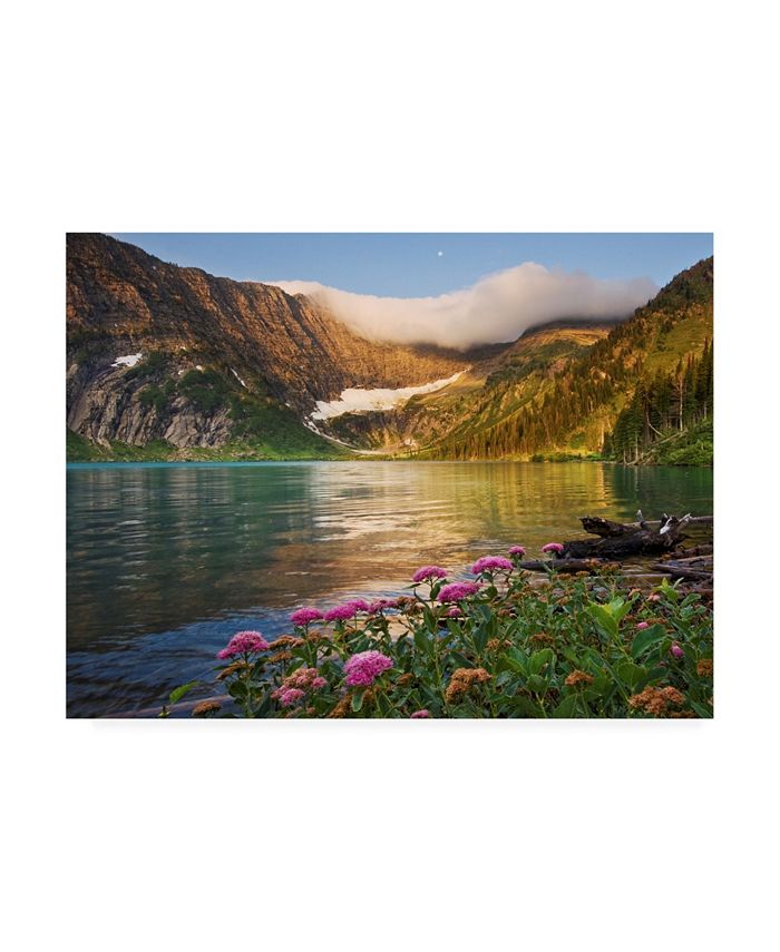 Trademark Global Doug Roane Pink Flowers Fresh Start Canvas Art - 20" x ...