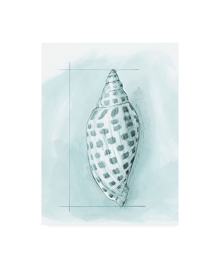 Trademark Global Megan Meagher Coastal Shell Schematic IV Canvas Art ...