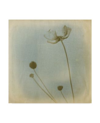 Jennifer Jorgensen Faded Away I Canvas Art - 15" x 20" - Macy's