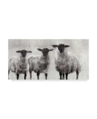 Ethan Harper Rustic Sheep I Canvas Art - 15" x 20" - Macy's