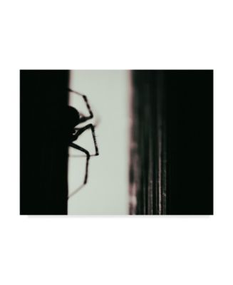 Pixie Pics Spider 3 Canvas Art - 37" x 49" - Macy's