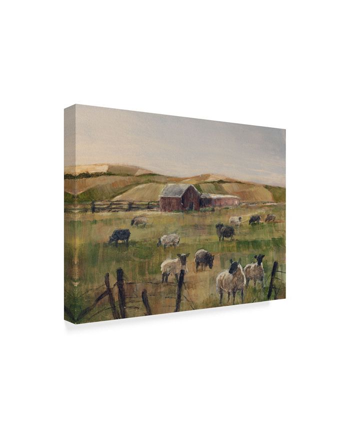 Trademark Global Ethan Harper Grazing Sheep II Canvas Art - 20" x 25 ...
