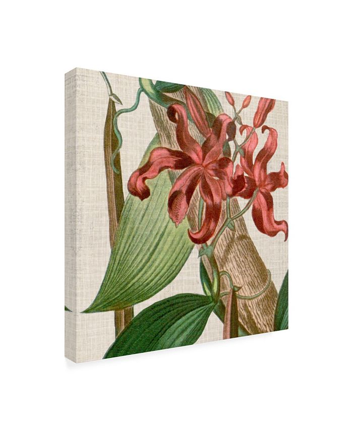 Trademark Global Vision Studio Cropped Turpin Tropicals IX Canvas Art ...