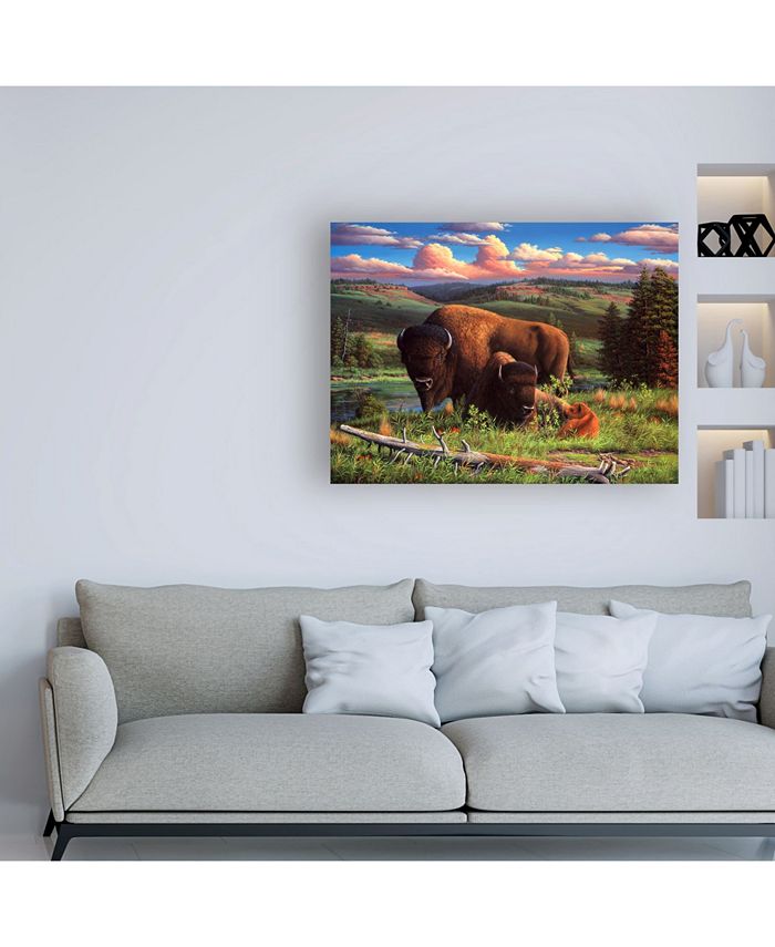 Trademark Global R W Hedge Buffalo Nation Canvas Art - 27" x 33.5" - Macy's