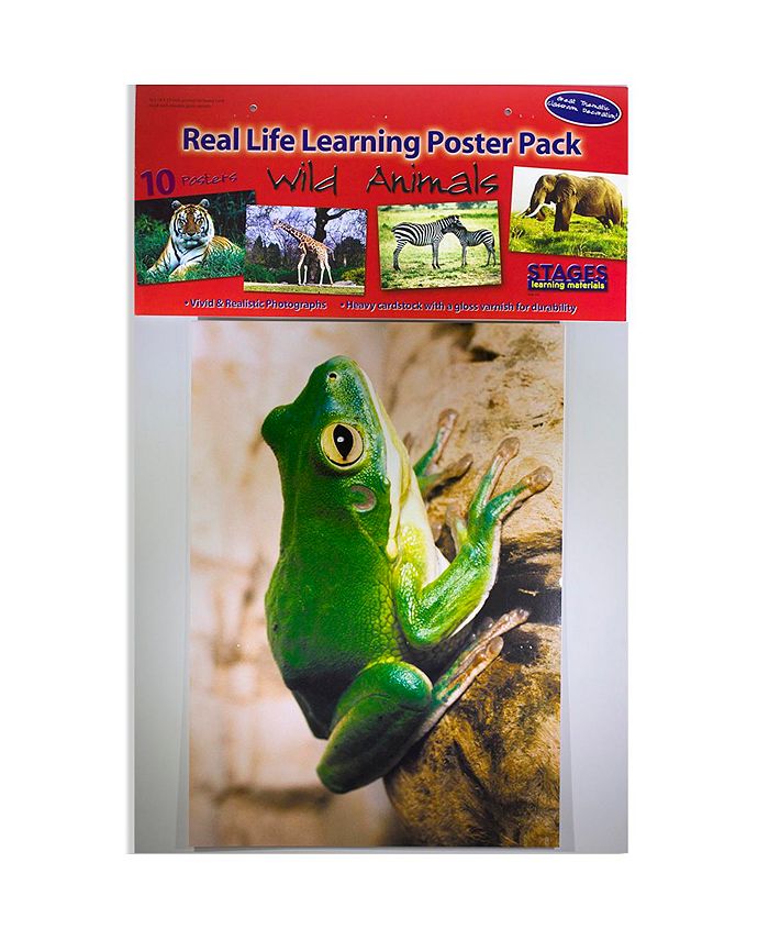 Stages Learning Materials Real Photo Wild Animal Poster Set - Macy's
