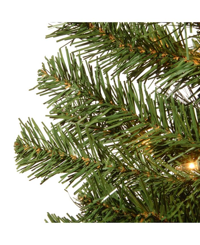 National Tree Company 5' Montclair Spruce Entrance Tree in 12" Black ...