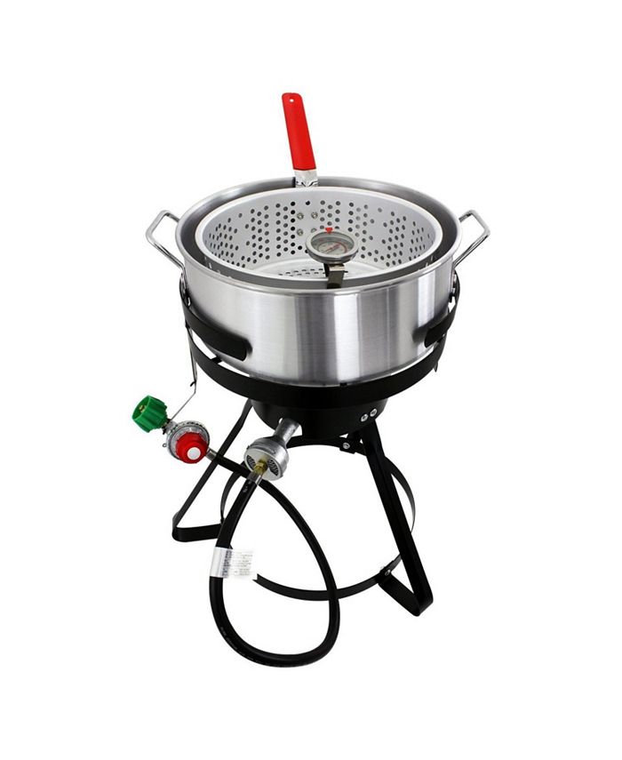 Masterbuilt Chard FFPA105 10.5-Qt Fish Wing Fryer with Strainer Basket ...