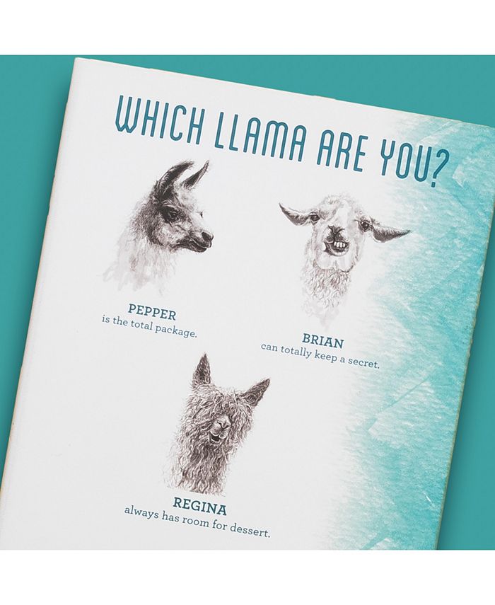 Chronicle Books ¿Como Te Llamas? Book & Reviews - Story - Macy's