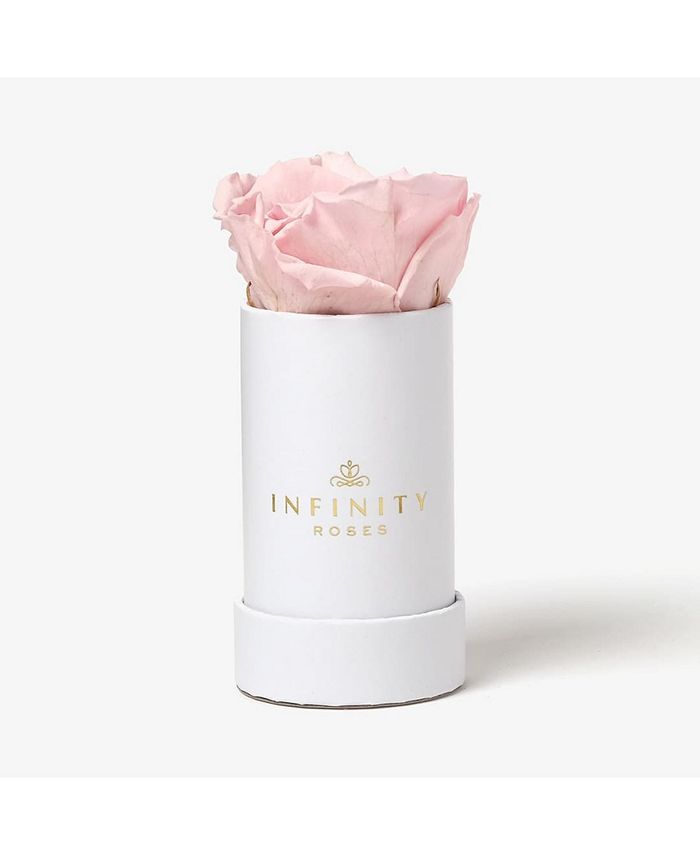 Infinity Roses Single Pink Real Rose Preserved To Last Over A Year - Macy's