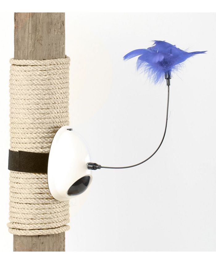 PawsMark Interactive 2-In-1 Spring Feather and Red Light Chaser Cat Toy ...