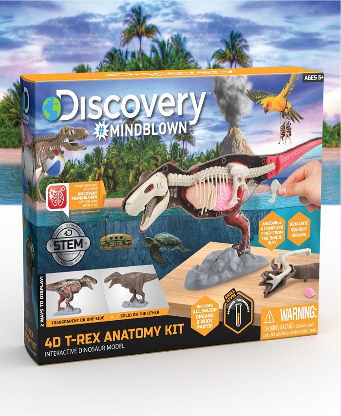 Discovery #MINDBLOWN Discovery Mindblown Toy Anatomy T-Rex Kit - Macy's