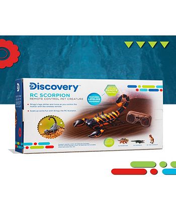 Discovery Kids RC Scorpion, Glow In The Dark Body, Wireless Remote ...