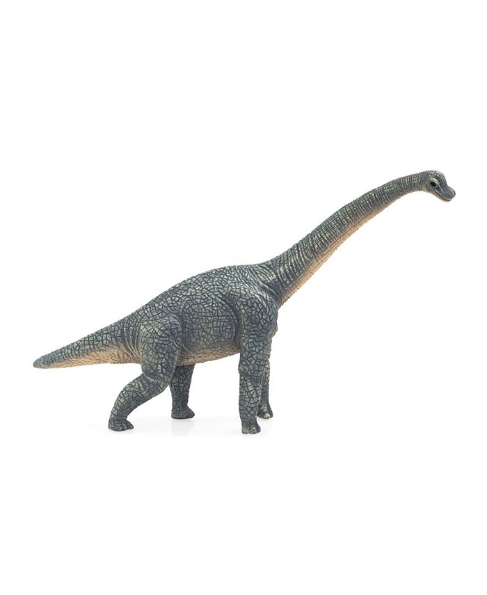 Legler USA Mojo Realistic Brachiosaurus Dinosaur Figurine - Macy's