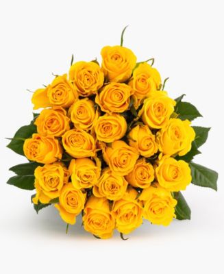 BloomsyBox Two Dozen Yellow Roses Fresh Flower Bouquet - Macy's