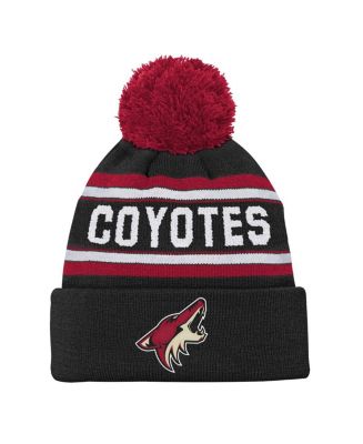Preschool Unisex Black Arizona Coyotes Wordmark Cuffed Knit Hat With ...