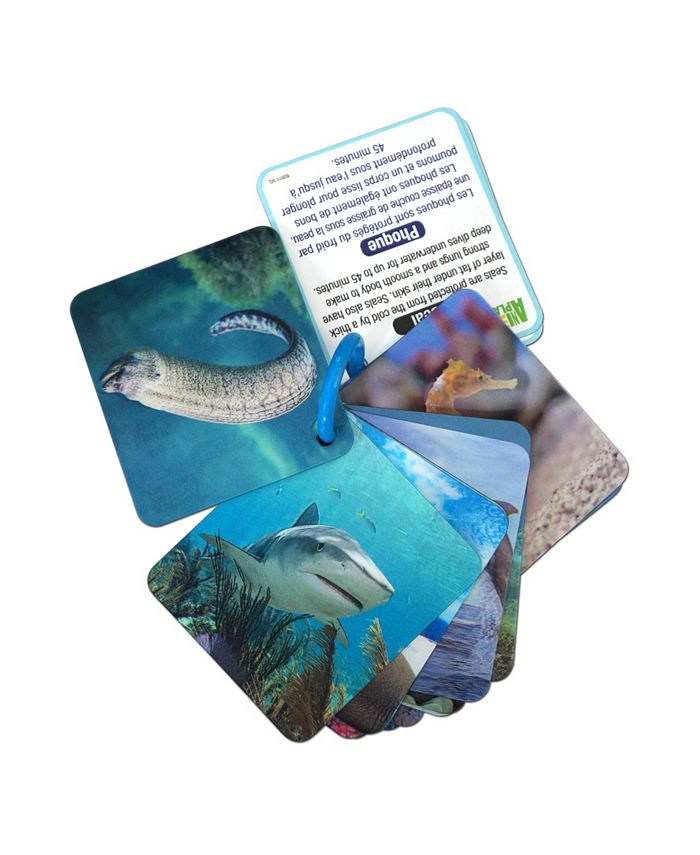 Smart Play Animal Planet 3D Flash Cards Set, Marine Animals, 20 Pieces ...