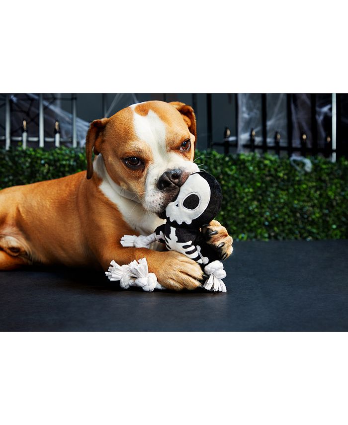 BarkBox Grim Squeaker Plush Skeleton Dog Toy - Macy's
