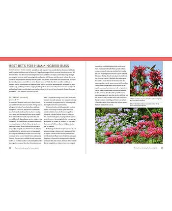 Barnes & Noble The Hummingbird Handbook - Everything You Need to Know ...