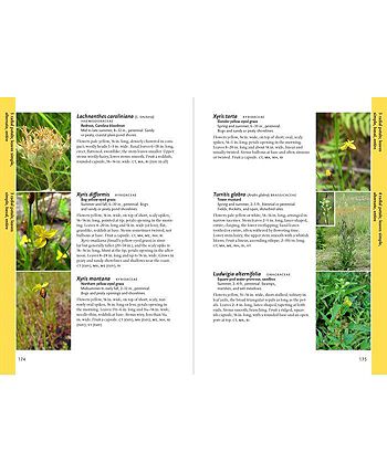 Barnes & Noble Wildflowers of the Pacific Northwest by Mark Turner - Macy's