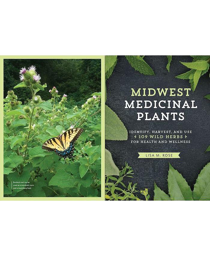 Barnes & Noble Midwest Medicinal Plants: Identify, Harvest, and Use 109 ...