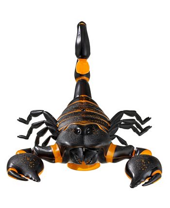 Discovery Kids RC Scorpion, Glow In The Dark Body, Wireless Remote ...