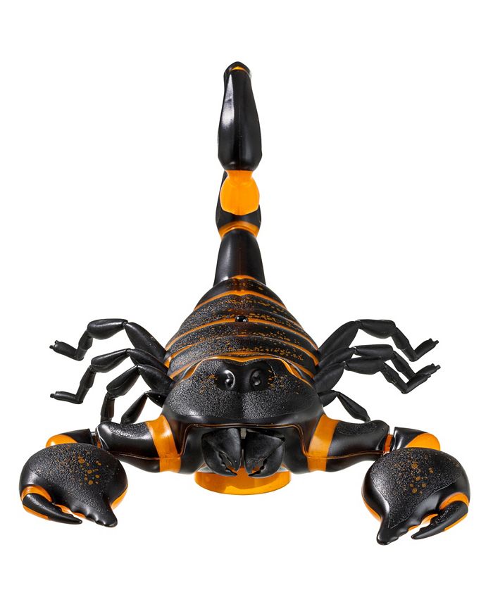 Discovery Kids RC Scorpion, Glow In The Dark Body, Wireless Remote ...