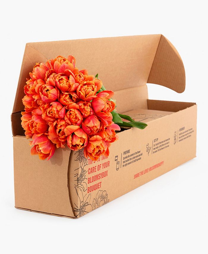BloomsyBox Orange Peony Tulips Fresh Flower Bouquet - Macy's